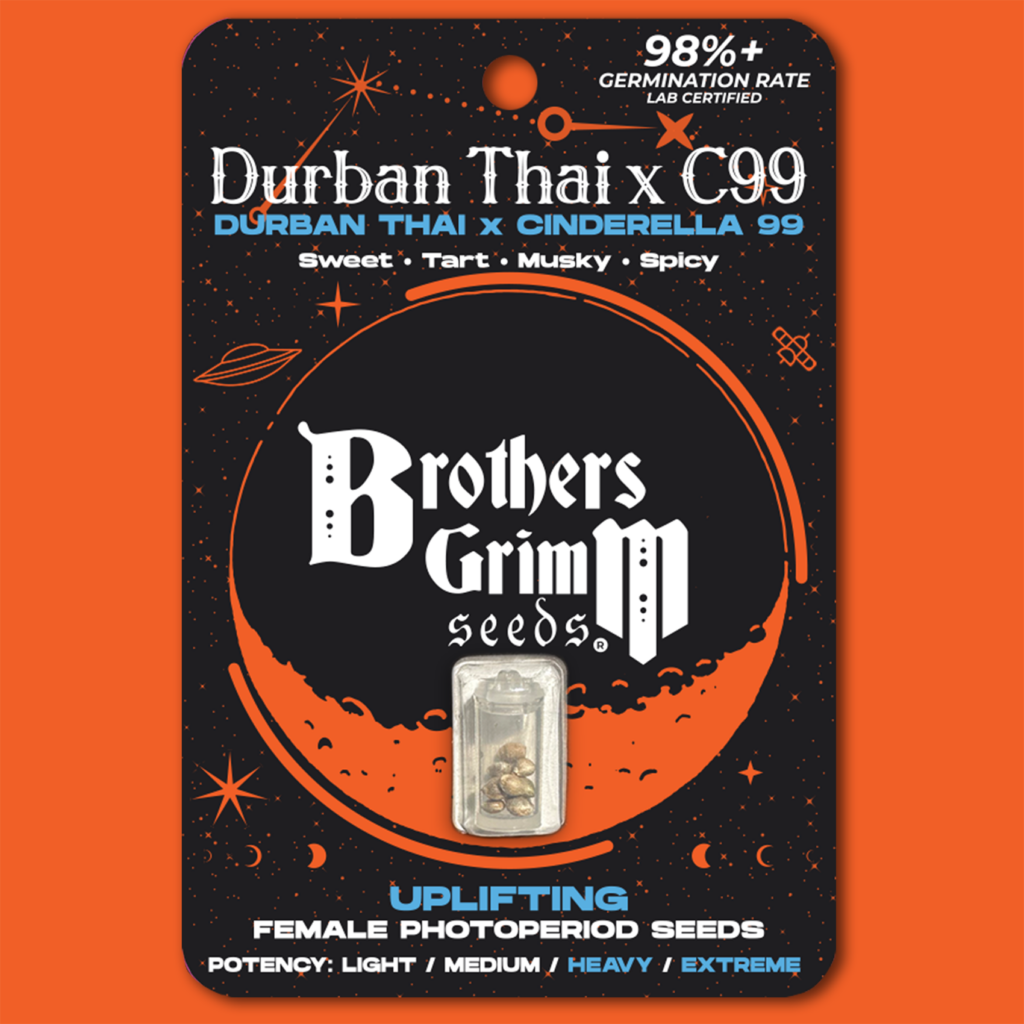 Durban Thai x C99 Seeds by Brothers Grimm - Potent Sativa Strain