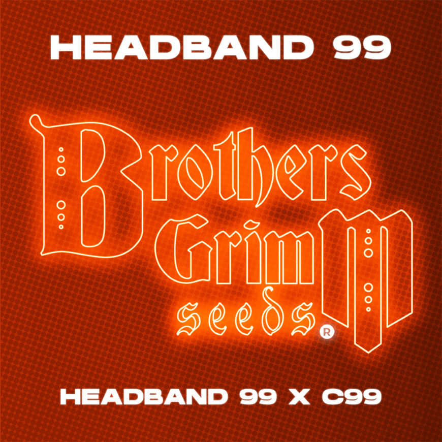 Trailer Park Boys x Brothers Grimm Seeds Present Ricky’s Hash Plant ...