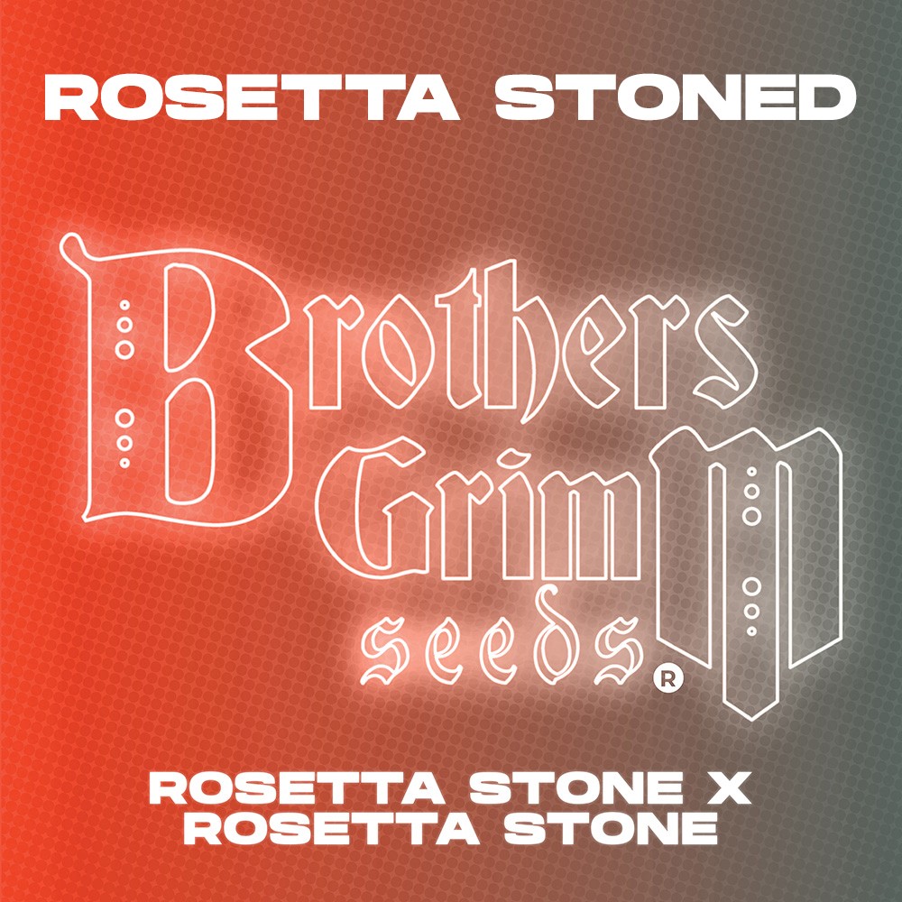 Rosetta Stoned Feminized Seeds (9 seed pack) by Brothers Grimm Seeds