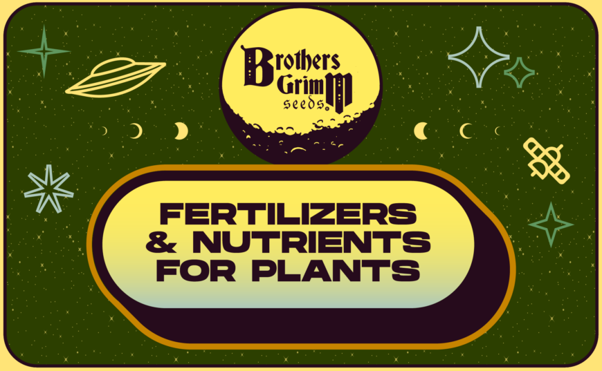 Best Fertilizers & Nutrients for Autoflowering Plants