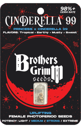 Buy Feminized Seeds | Female Cannabis Seeds from Brothers Grimm