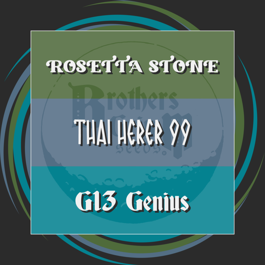 Explore Feminized Pot Seeds Sold in the USA | Brothers Grimm Seeds