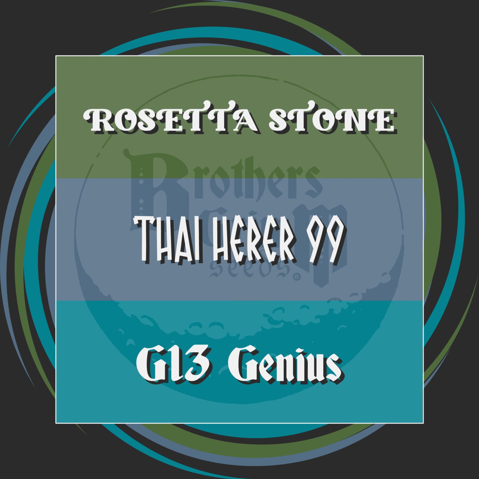 Feminized Seed Variety Pack - Rosetta Stone, Thai Herer 99, G13 Genius
