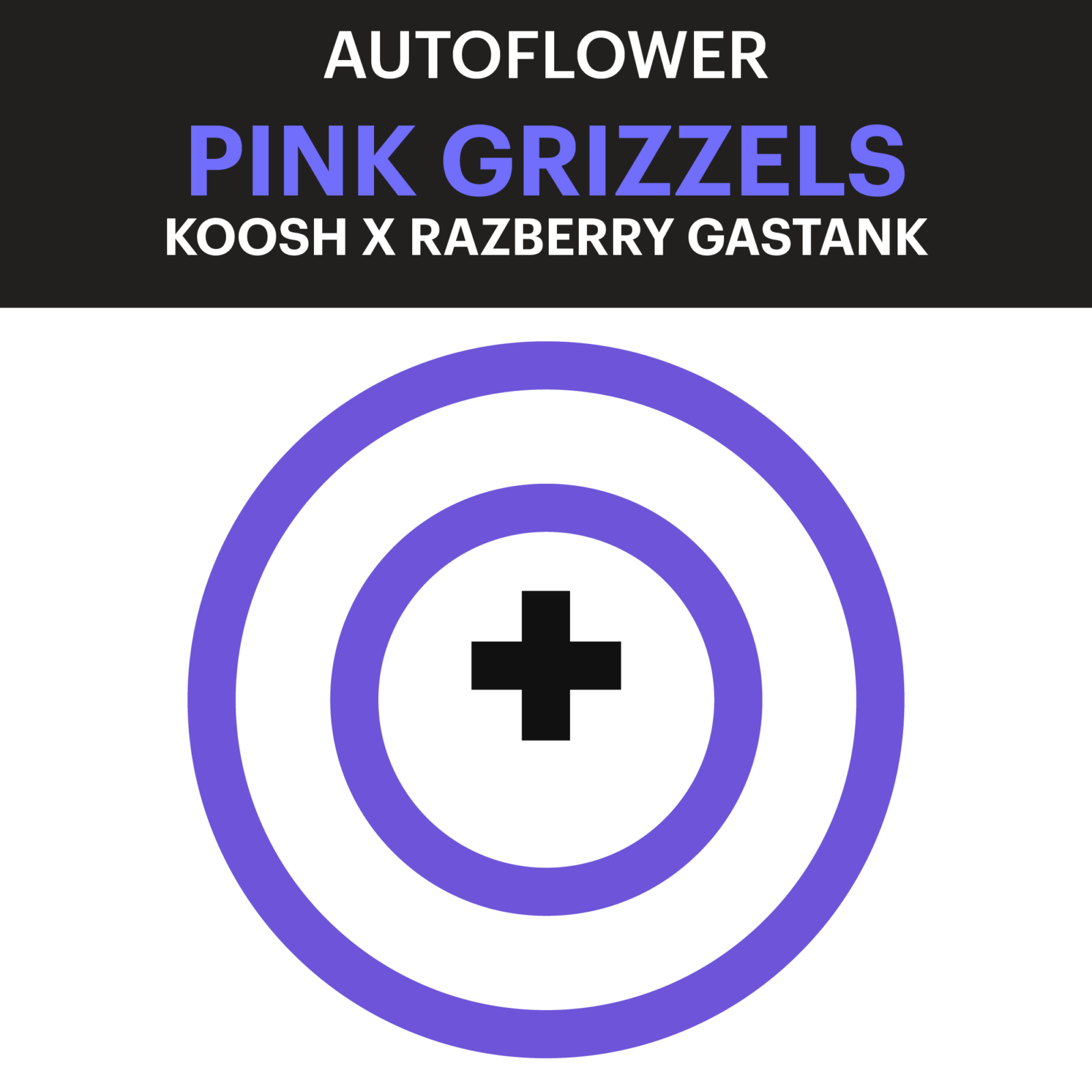 Premium Autoflower Seeds || Brothers Grimm Collection
