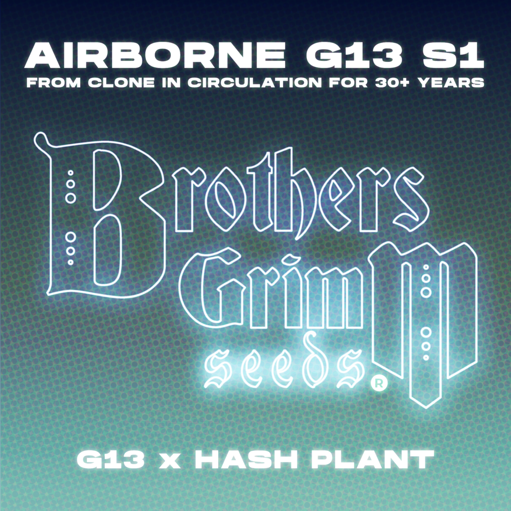 Buy Feminized Seeds Female Cannabis Seeds From Brothers Grimm