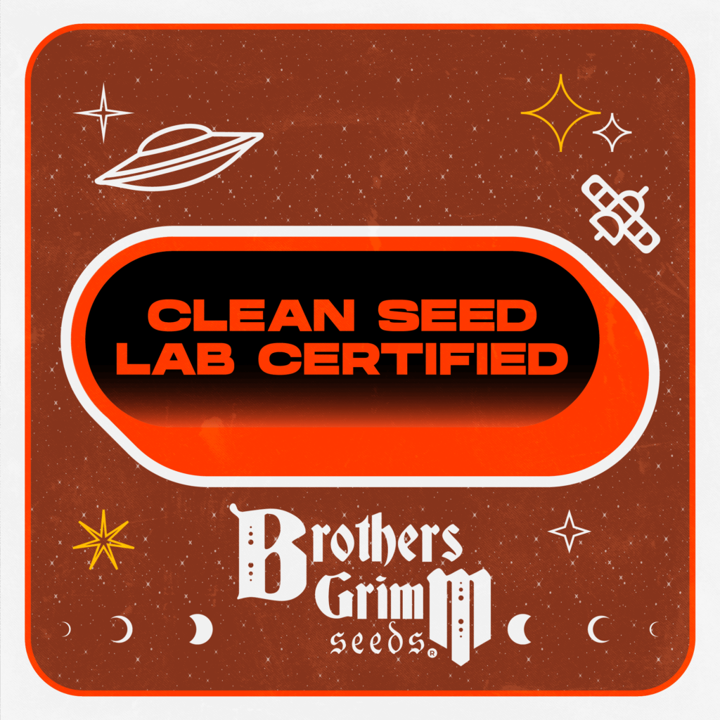 Seed Bank in the USA: Legendary Brothers Grimm Seeds