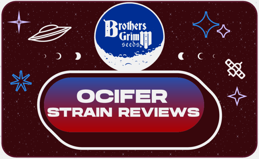 Ocifer Strain Reviews - Discover Effects & Growing Tips