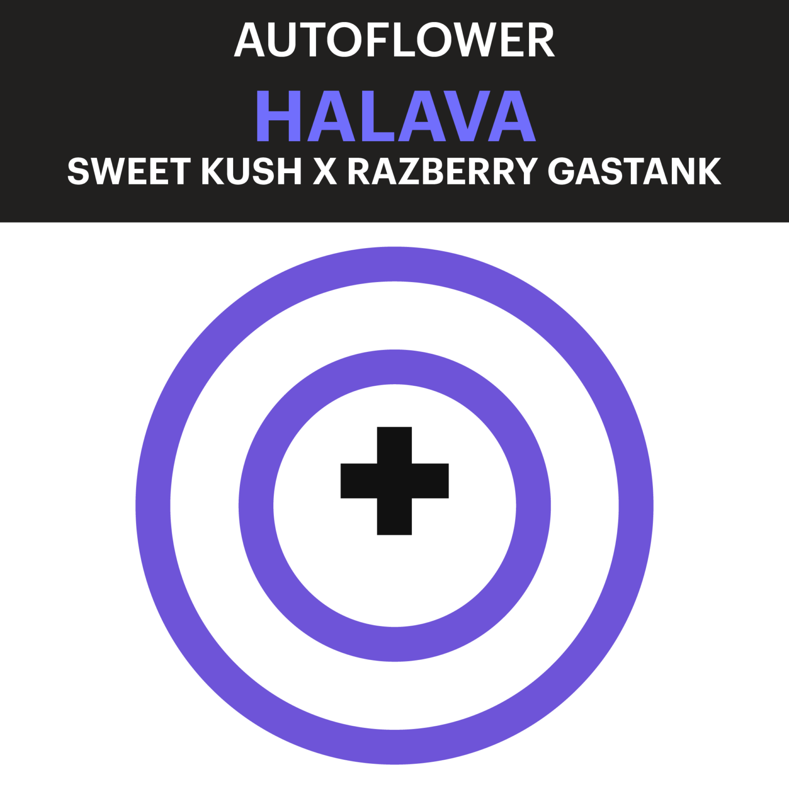 Premium Autoflower Seeds || Brothers Grimm Collection